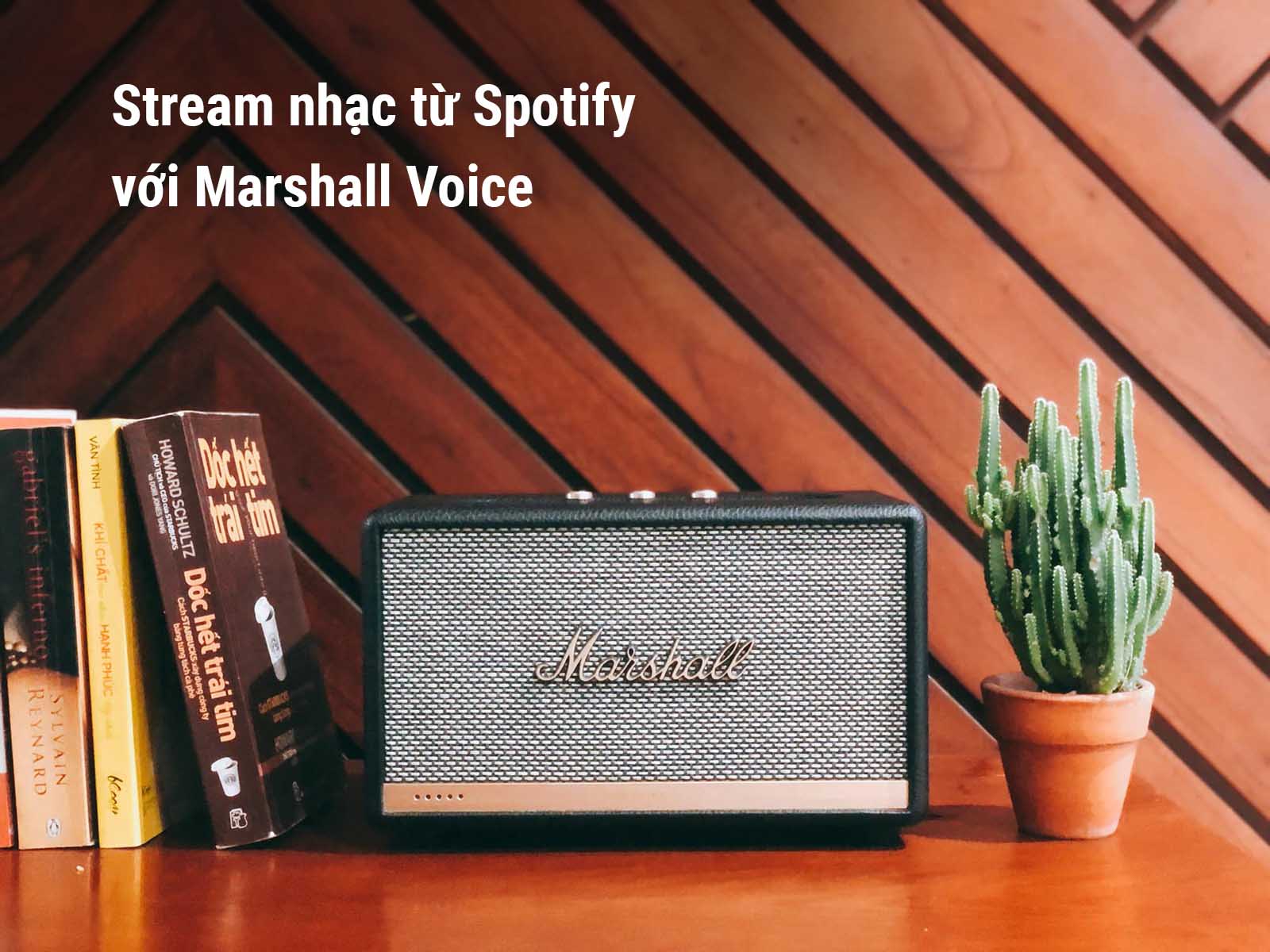 Hướng Dẫn Stream Nhạc Spotify Cùng Loa Marshall Voice Alexa