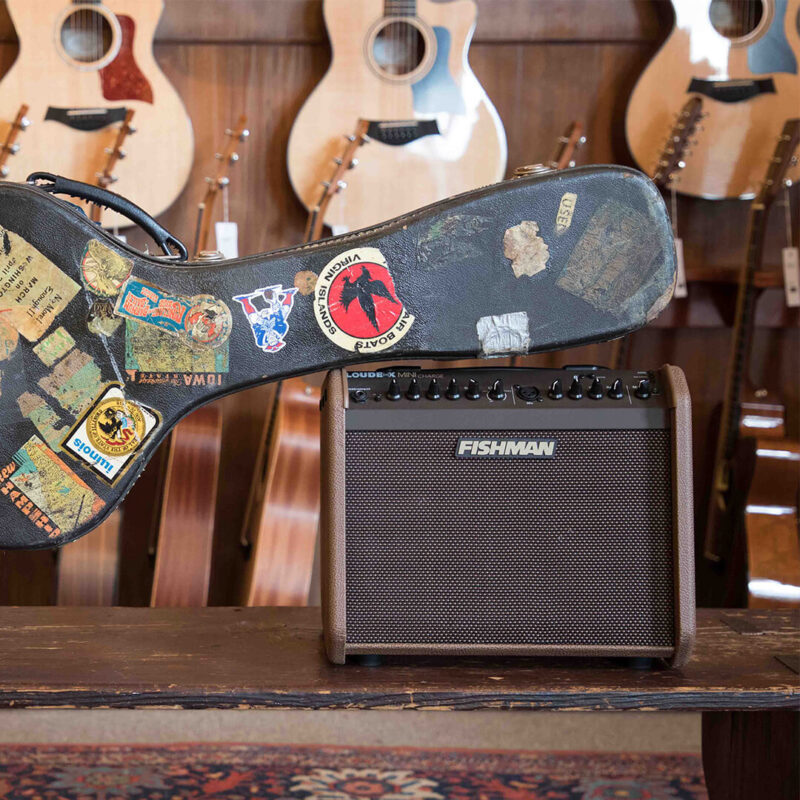 Fishman Loudbox Mini Charge 60W - Battery Powered Acoustic Guitar ...